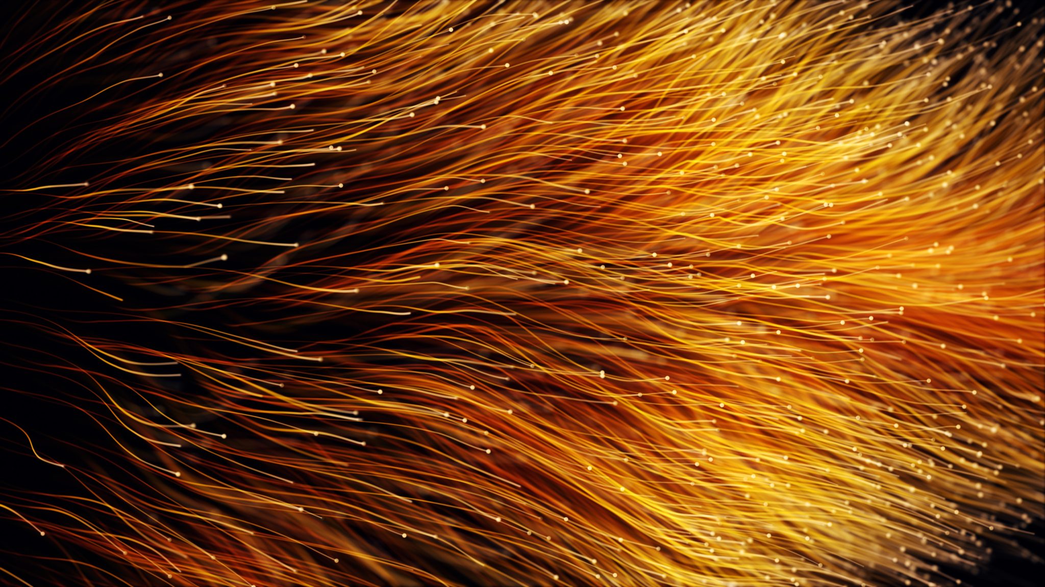 Anderson Lloyd Launches Elite 3E Cloud