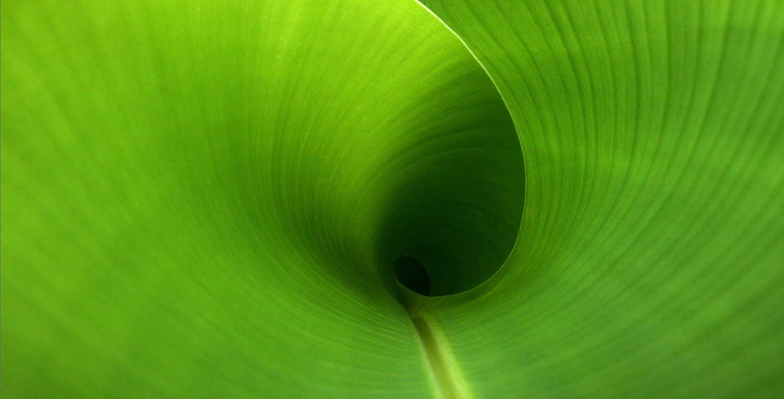 UK Law Firm Roythornes Chooses 3E in the Cloud